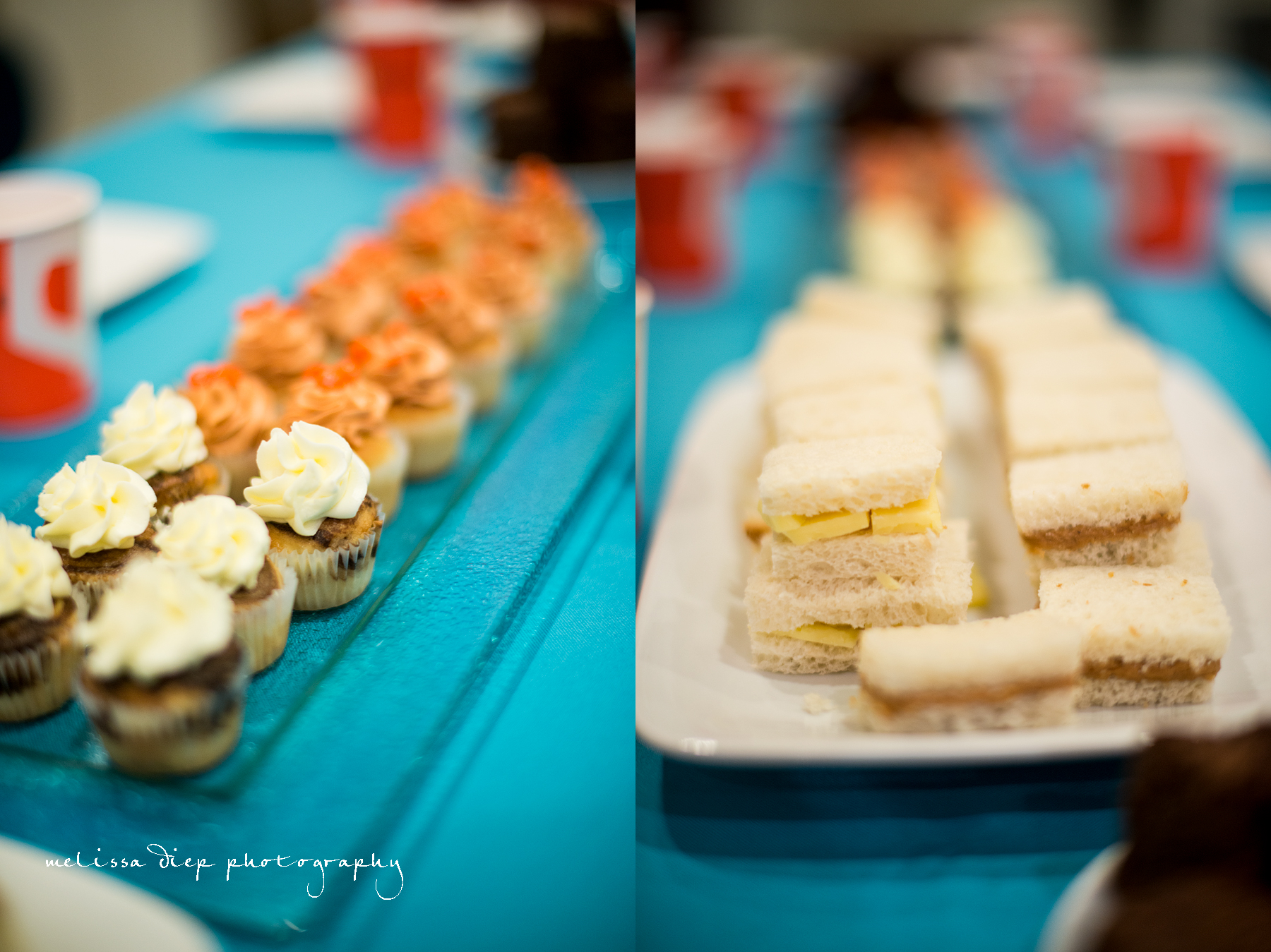 Disney Up Themed Birthday Party-Disney Up Inspired Party